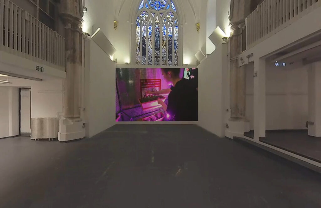 The Great Hall - Goldsmiths Virtual Tour